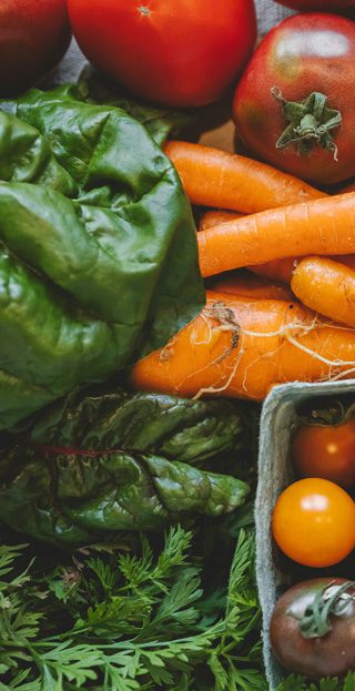 Sysco - Timewise Systems